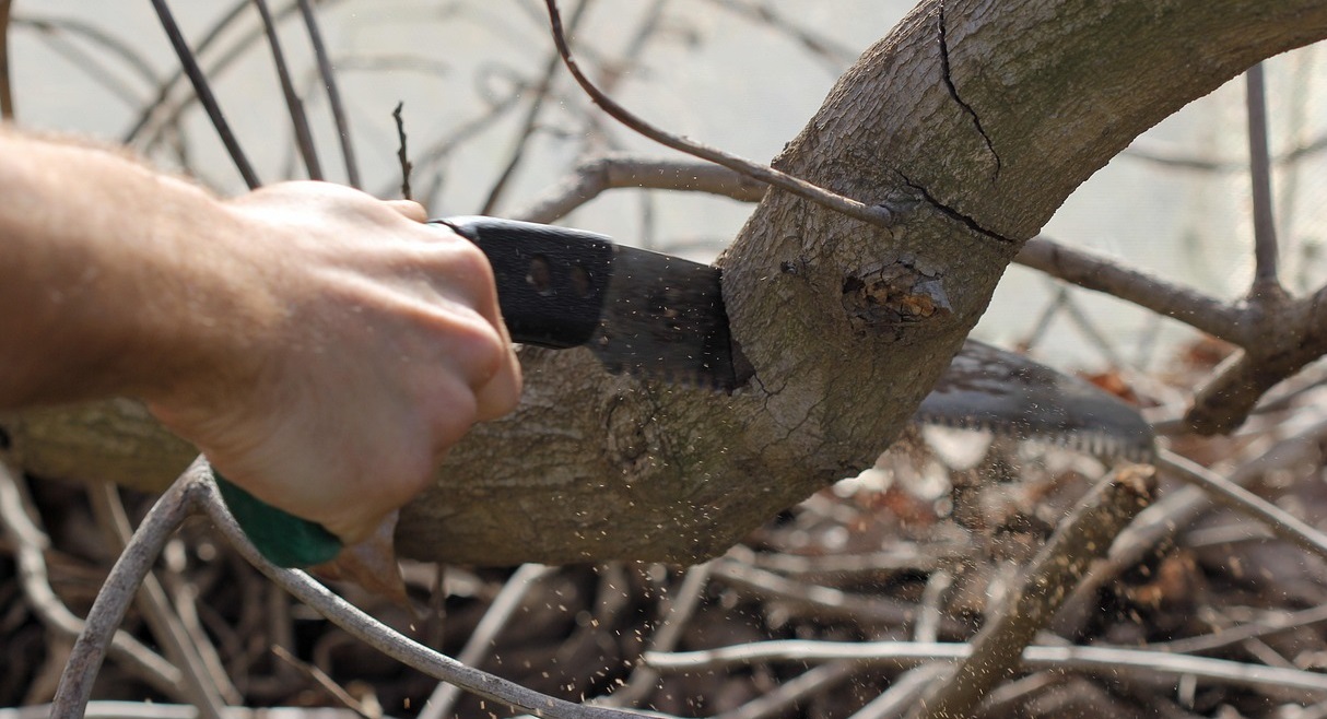 ¿Qué es un serrucho japonés y cuáles son sus ventajas?
